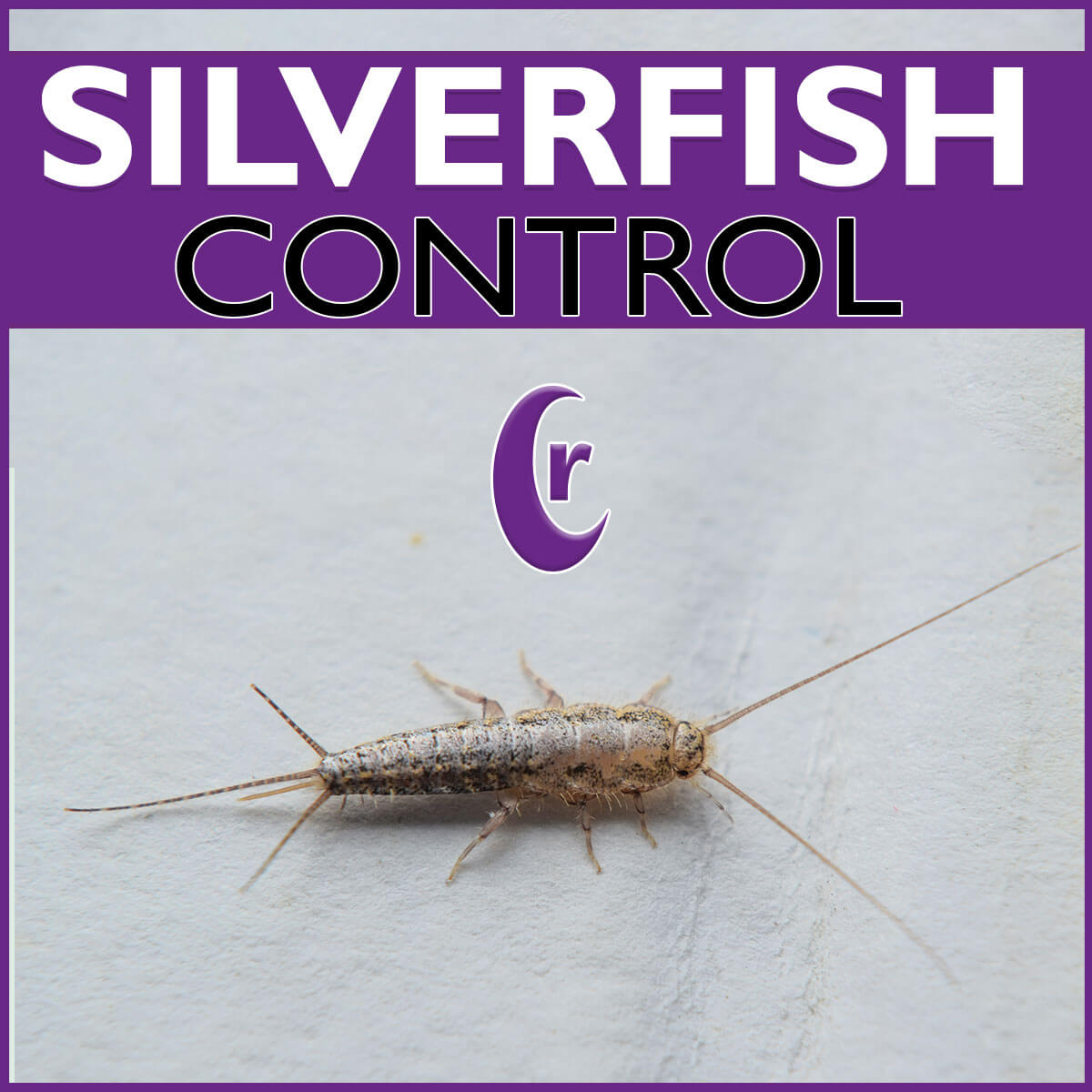 September 14, 2022 – Rockwell Labs Ltd