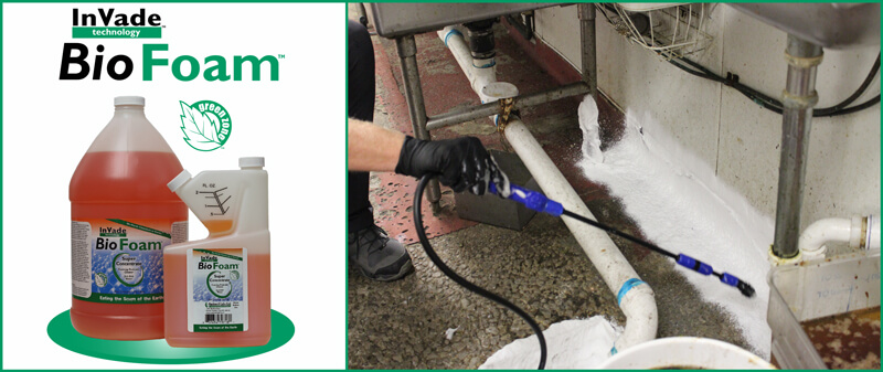 Bio-Foam-Treatment – Rockwell Labs Ltd