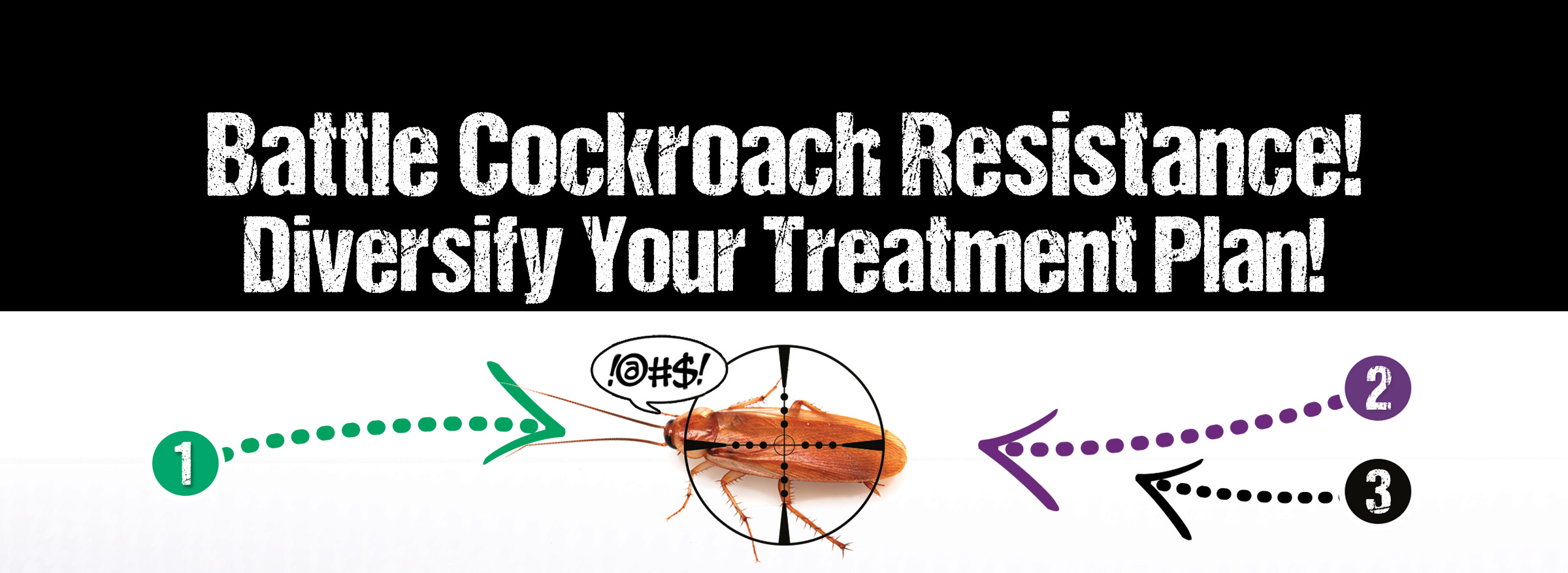 battle cockroach resistance diversify your treatment plan graphic ...