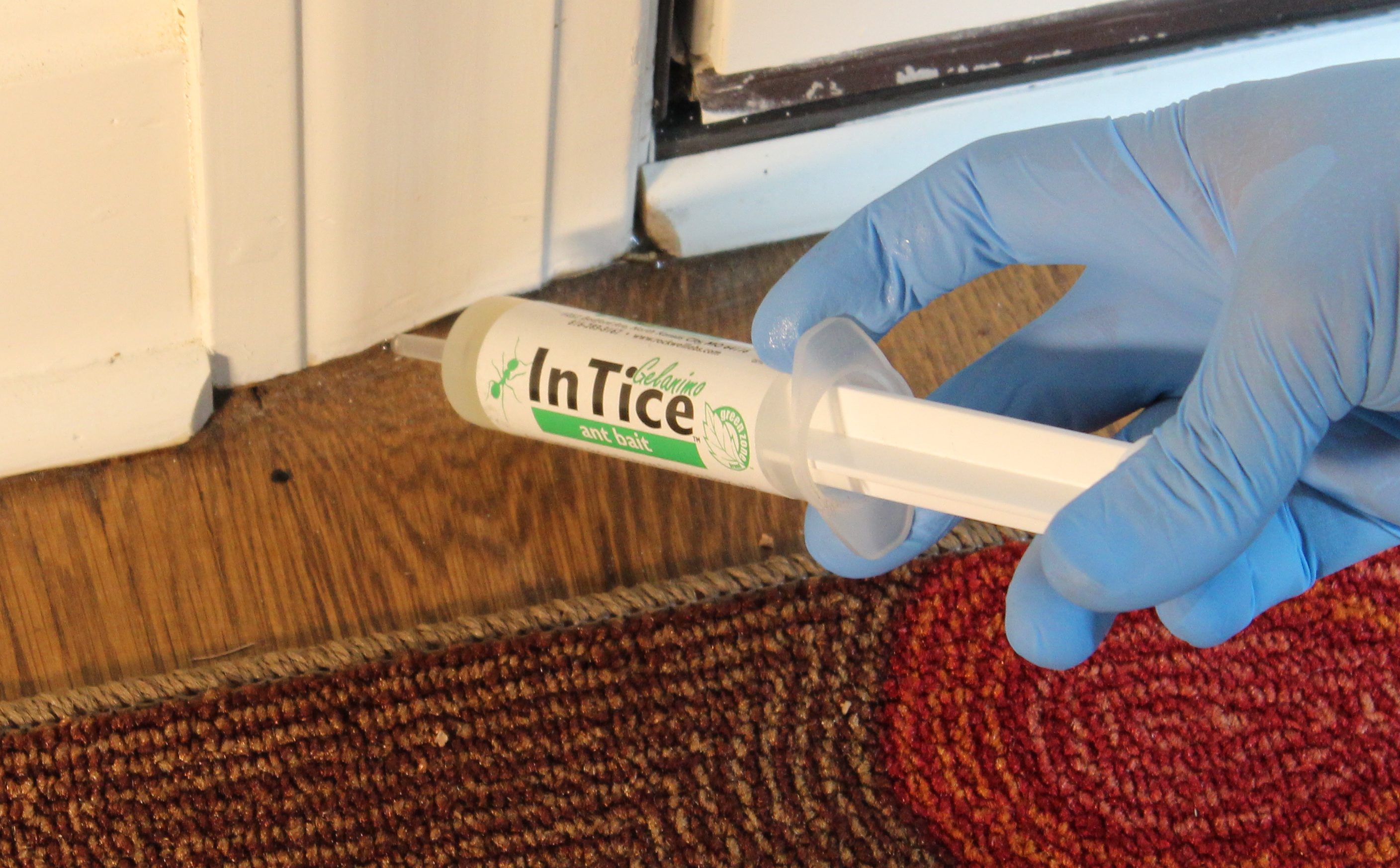 intice gelanimo ant bait syringe – Rockwell Labs Ltd