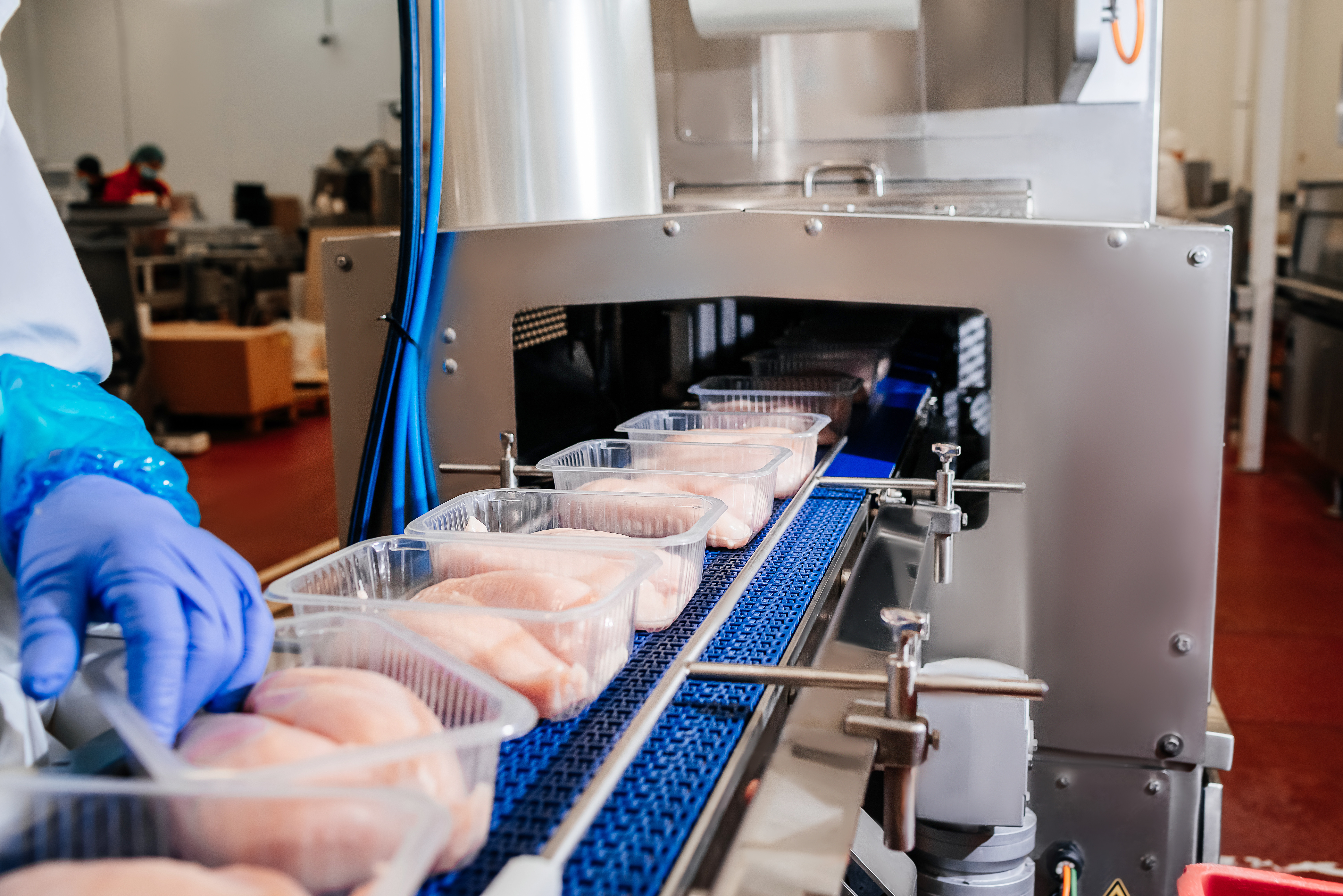 A modern plant.Factory production food from meat. Production line with ...