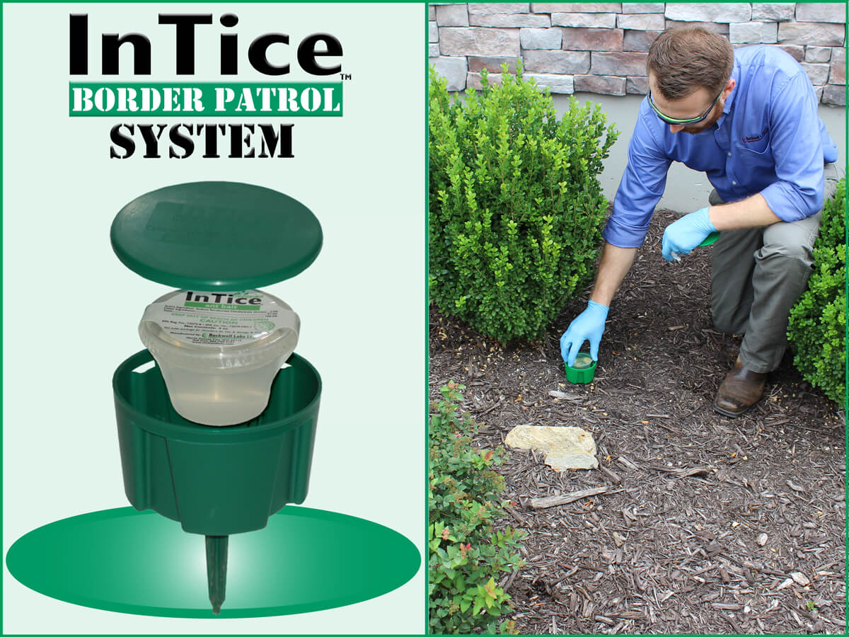 InTice-Border-Patrol-Gelanimo – Rockwell Labs Ltd