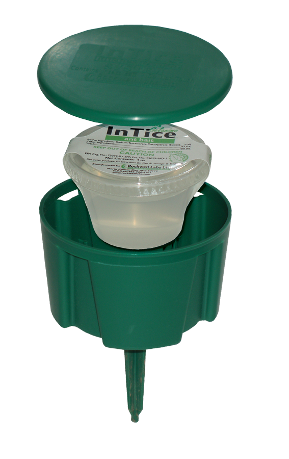 InTice Gelanimo 4 oz – Rockwell Labs Ltd